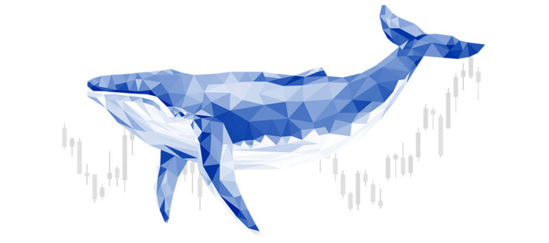 Blockchain Ecosystem Species - Minerium